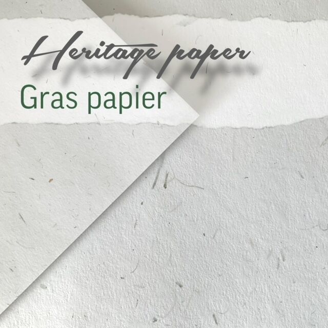 Pak 40 vel A4 gras papier 120grams Groeipapier de enige echte